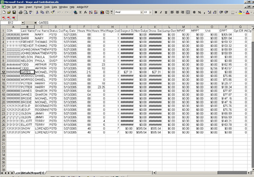 Downloading the Wage and Contribution Summary to Excel